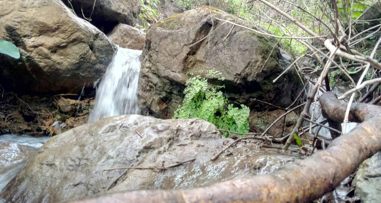 Himshail Waterfalls Rishikesh (Timings, Entry Fee, Images, Best time to ...