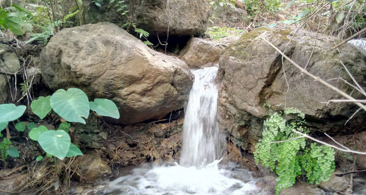 Himshail Waterfalls Rishikesh (Timings, Entry Fee, Images, Best time to ...