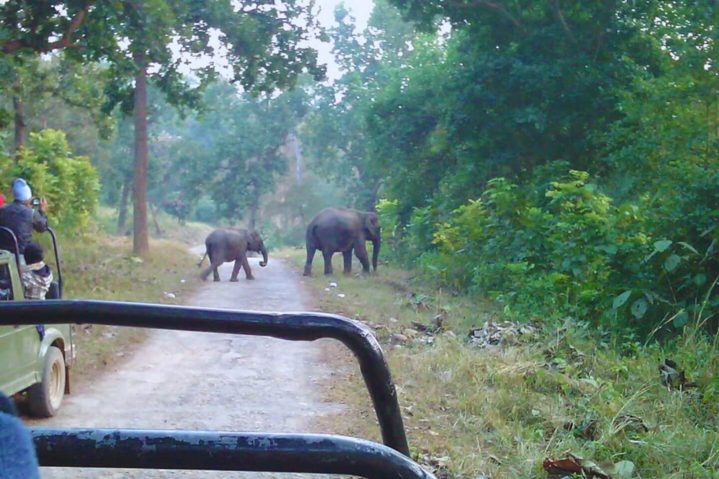 Rajaji National Park Haridwar (Entry Fee, Timings, Safari, Best time to ...