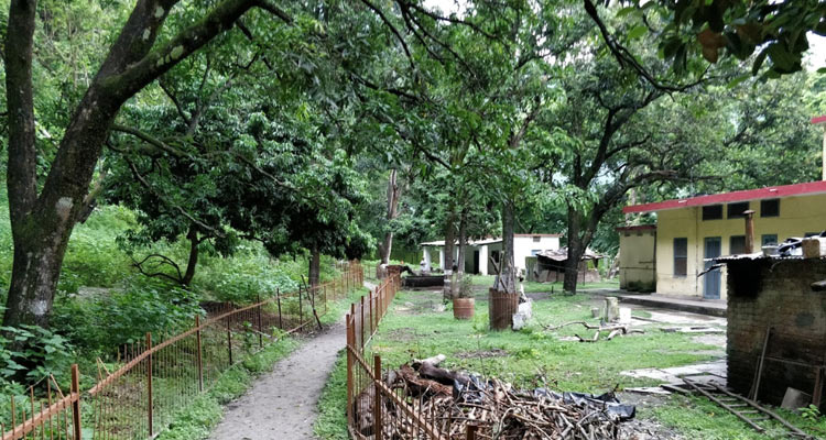 Vashishta Gufa / Vashishta Cave Rishikesh (Timings, Entry Fee, History ...